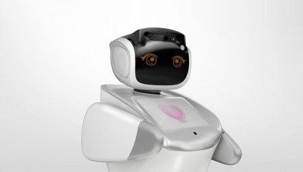 Meet Sanbot: the AI robot seeking work as a waiter, security guard or ...